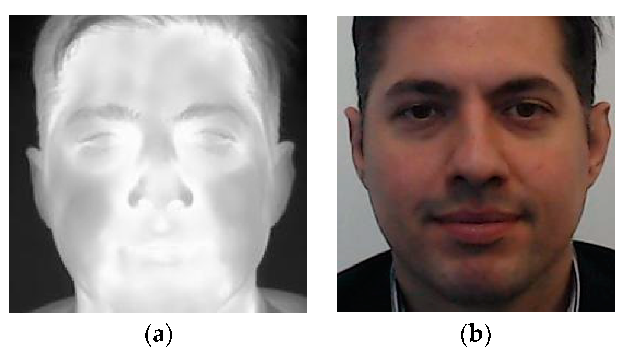 Thermal–Visible Face Recognition Based on CNN Features and Triple ...