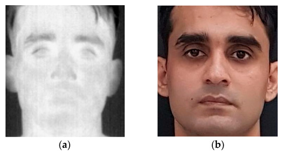 Thermal–Visible Face Recognition Based on CNN Features and Triple ...