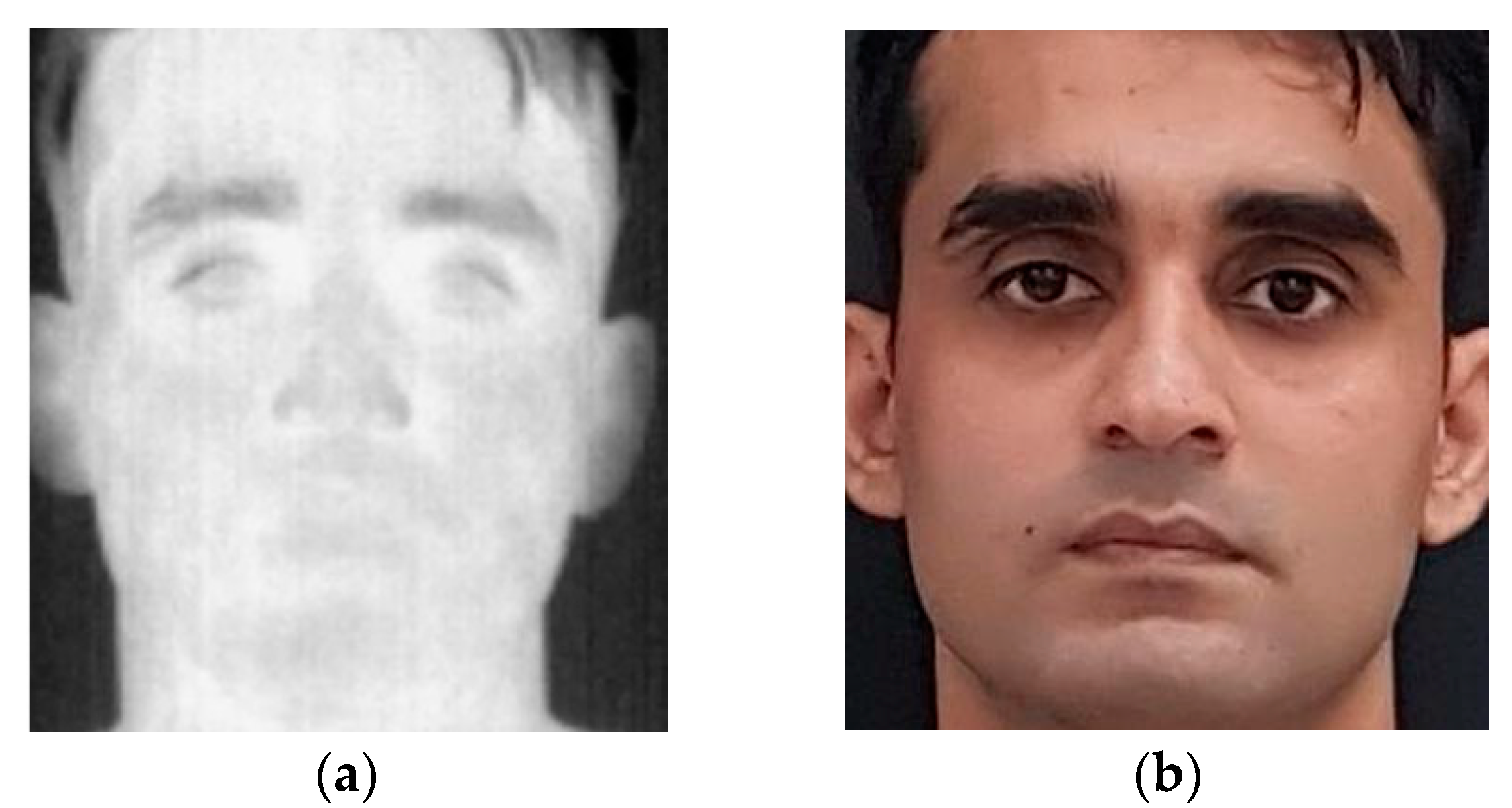 Thermal–Visible Face Recognition Based on CNN Features and Triple ...