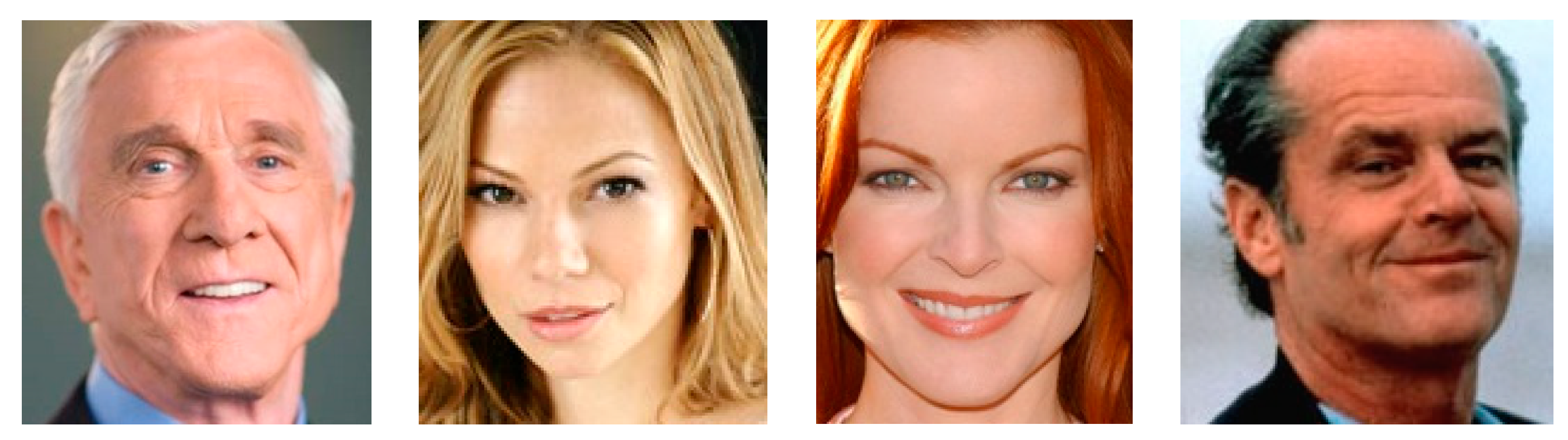 Thermal–Visible Face Recognition Based on CNN Features and Triple ...