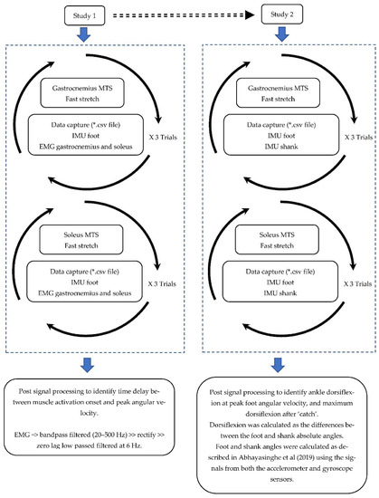 Inertia Sensors for Measuring Spasticity of the Ankle Plantarflexors ...