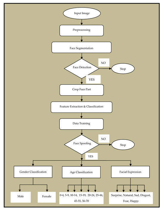 Face Spoofing, Age, Gender and Facial Expression Recognition Using ...