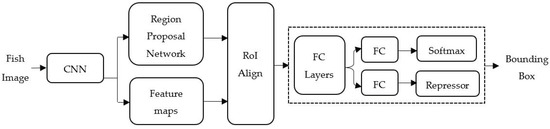Non-Intrusive Fish Weight Estimation in Turbid Water Using Deep ...