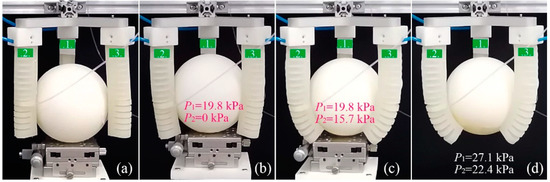 Sensors | Free Full-Text | Design, Fabrication, and Performance Test of ...