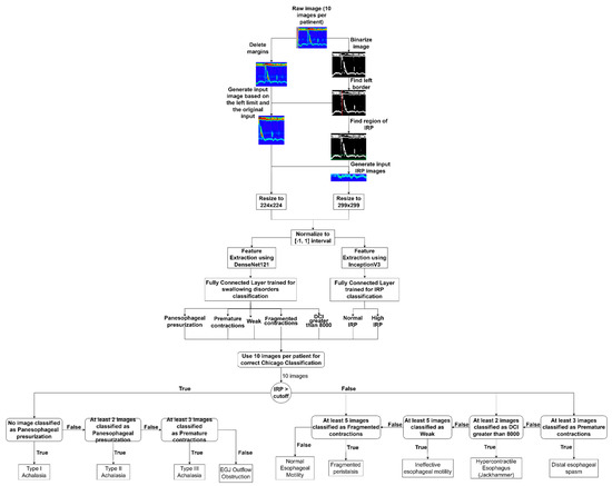 Automated Chicago Classification for Esophageal Motility Disorder ...