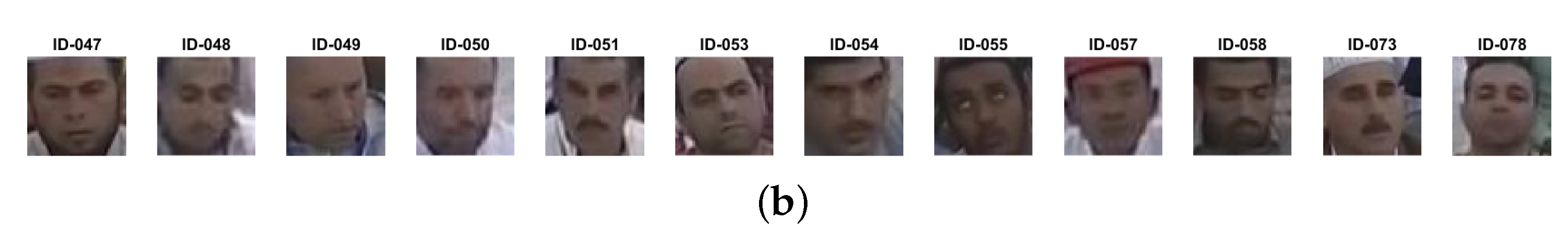 Tracking Missing Person in Large Crowd Gathering Using Intelligent ...