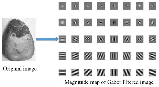 A Method for Detection of Corn Kernel Mildew Based on Co-Clustering Algorithm with Hyperspectral ...