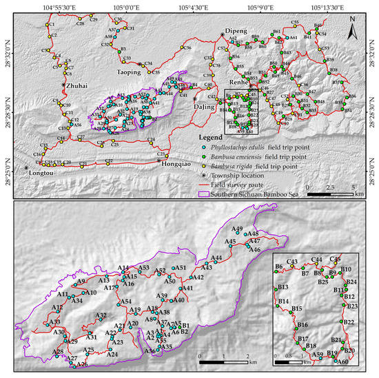 Identification of Bamboo Species Based on Extreme Gradient Boosting ...