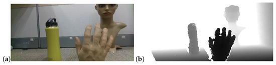 What Can We Learn from Depth Camera Sensor Noise?
