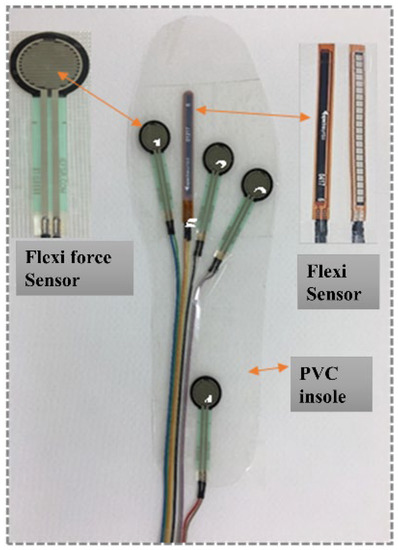Sensors | Free Full-Text | Smart Insole Based on Flexi Force and Flex ...