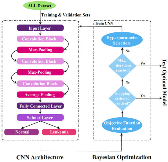 BO-ALLCNN: Bayesian-Based Optimized CNN for Acute Lymphoblastic Leukemia Detection in ...