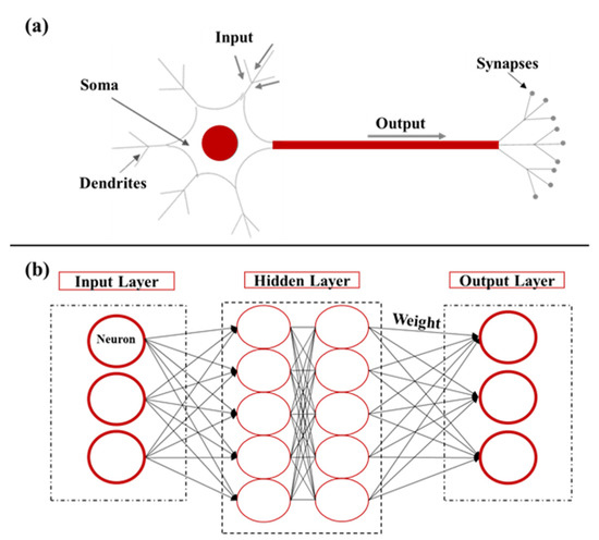 Review of Neural Network Modeling of Shape Memory Alloys