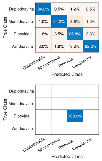 Convolutional Neural Network Applied to SARS-CoV-2 Sequence Classification