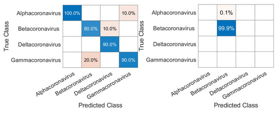 Convolutional Neural Network Applied to SARS-CoV-2 Sequence Classification
