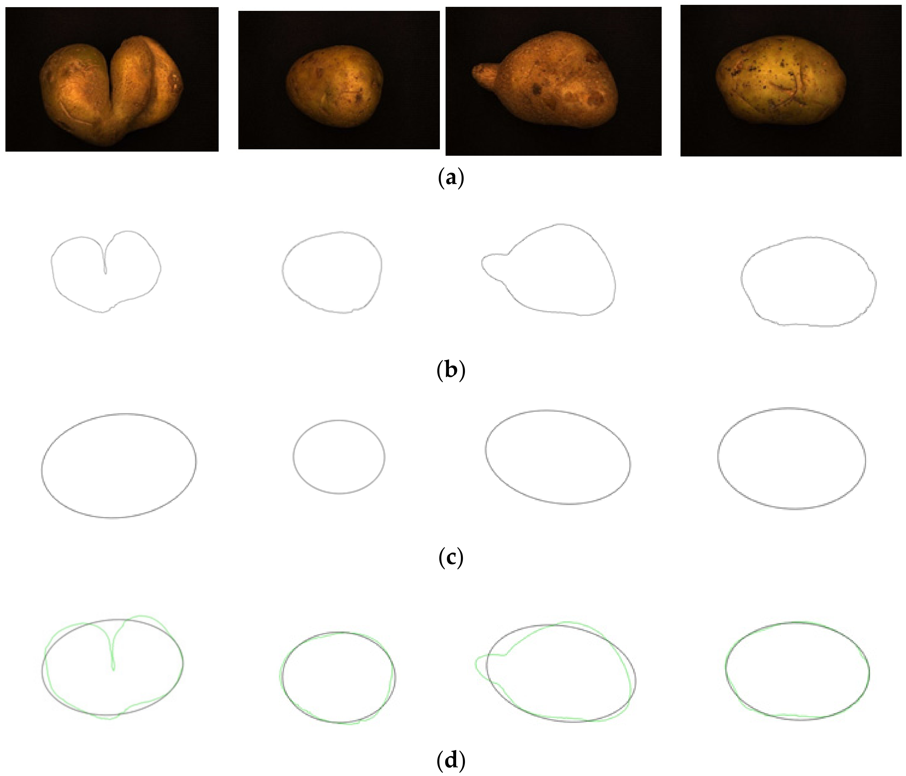 Identifying Irregular Potatoes Using Hausdorff Distance and Intersection over Union