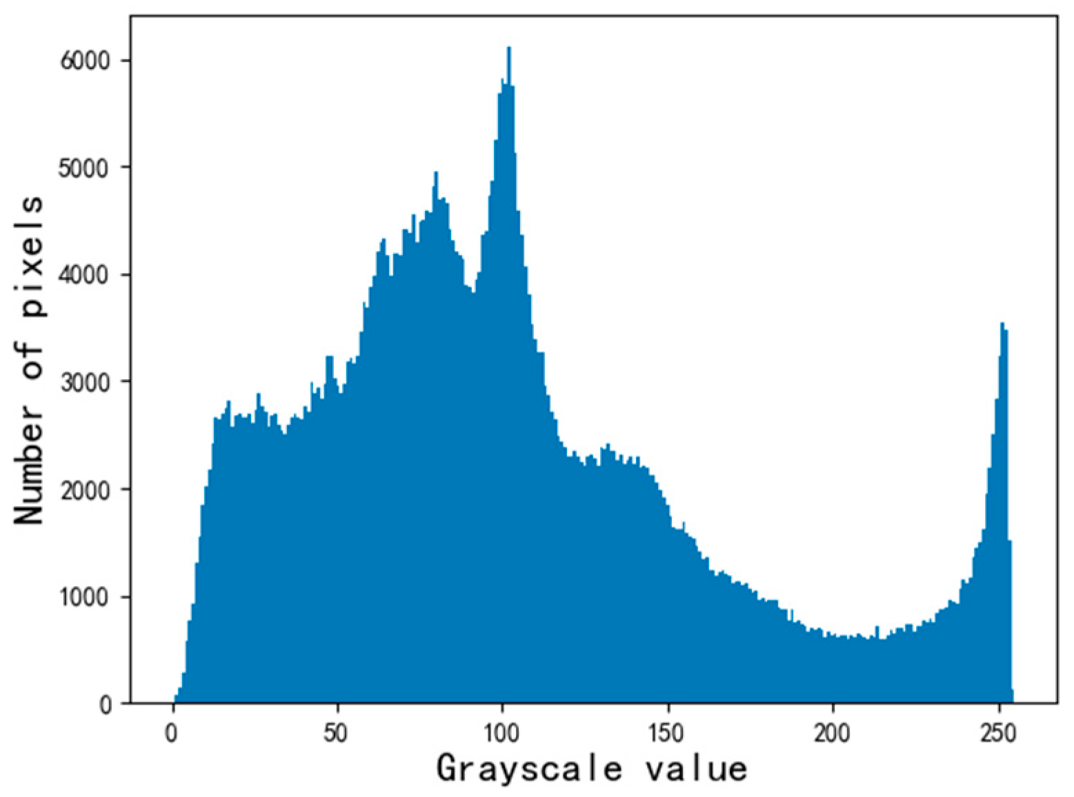 Threshold Segmentation and Length Measurement Algorithms for Irregular ...