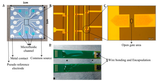 Planar Junctionless Field-Effect Transistor for Detecting Biomolecular Interactions