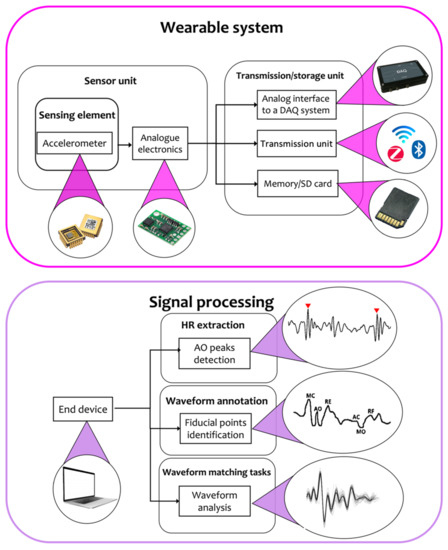 Precordial Vibrations: A Review of Wearable Systems, Signal Processing ...