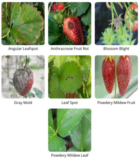 Smart Strawberry Farming Using Edge Computing and IoT