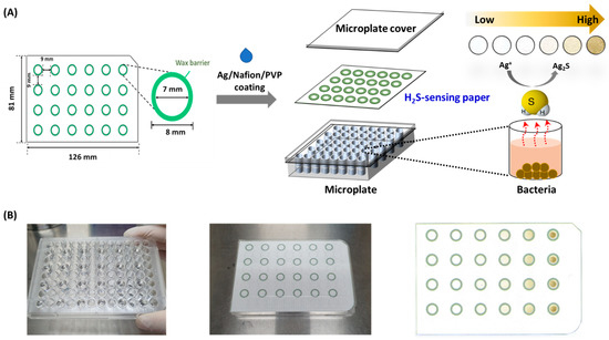 Simple and Sensitive Detection of Bacterial Hydrogen Sulfide Production ...