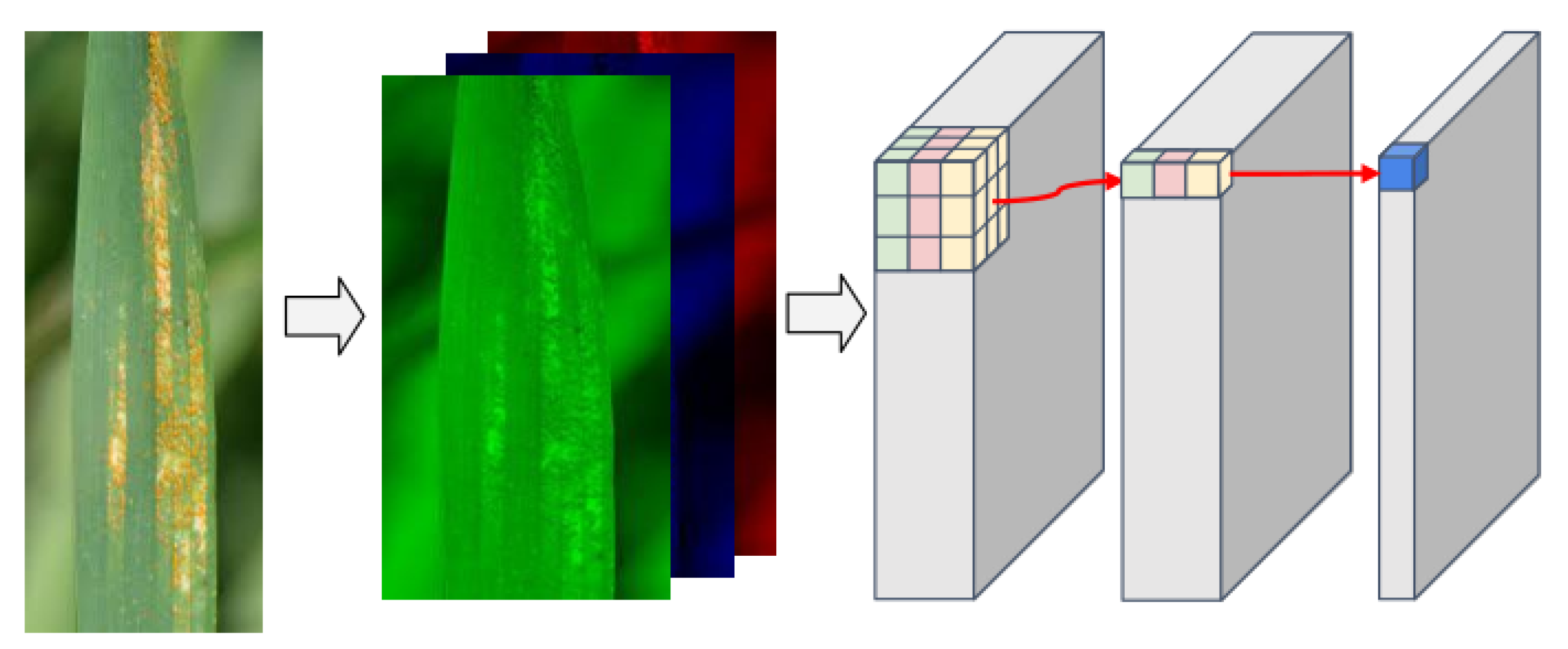 Image Classification of Wheat Rust Based on Ensemble Learning