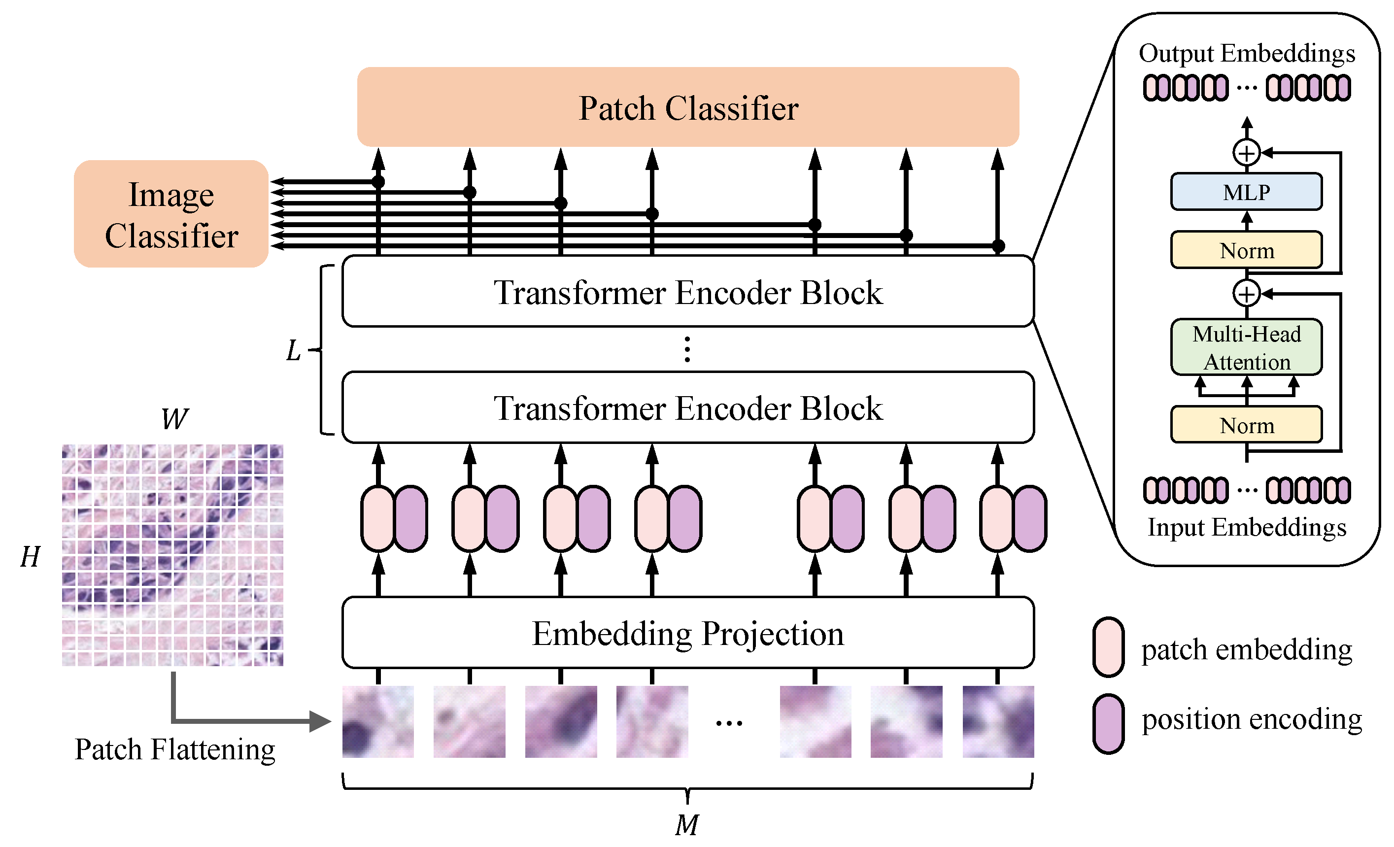 Using Sparse Patch Annotation for Tumor Segmentation in ...