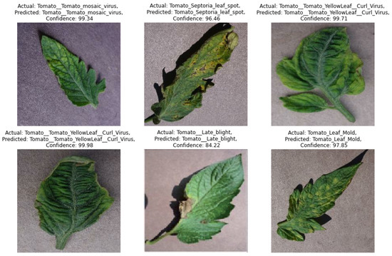 Multimodal Hybrid Deep Learning Approach to Detect Tomato Leaf Disease ...