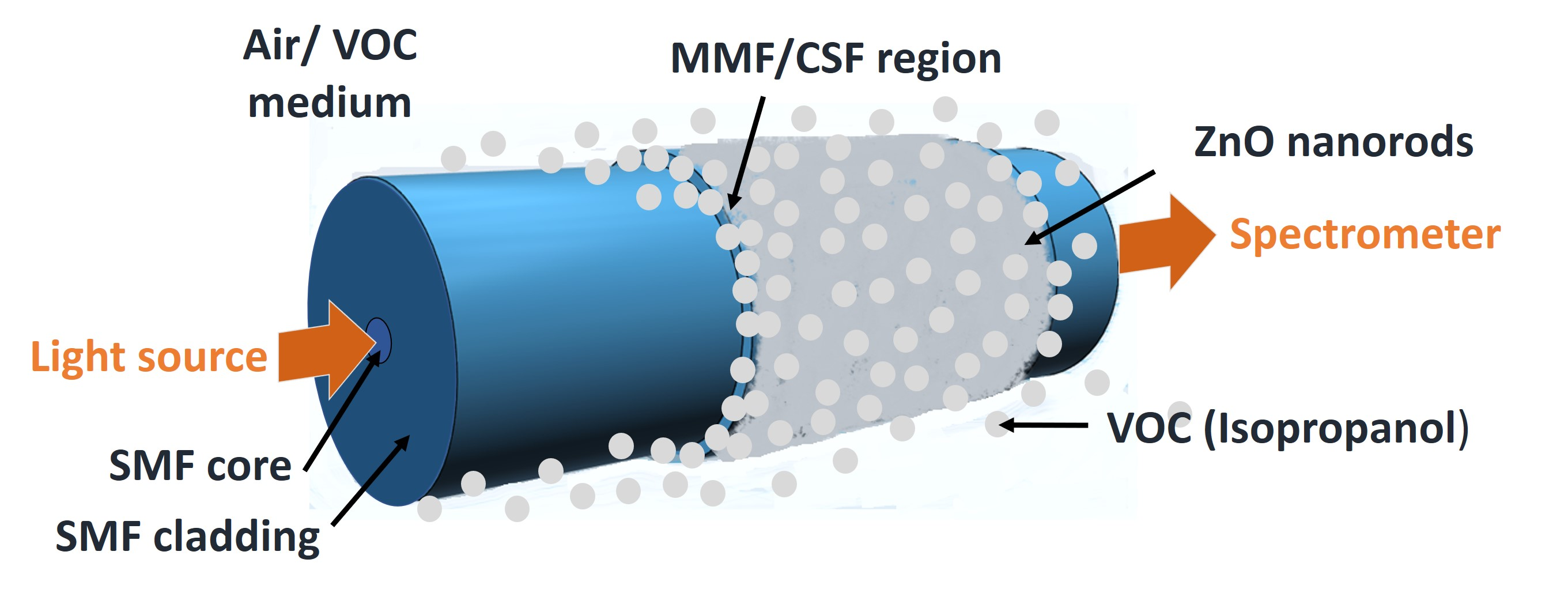 Sensors | Free Full-Text | ZnO Nanorods Coated Single-Mode–Multimode ...