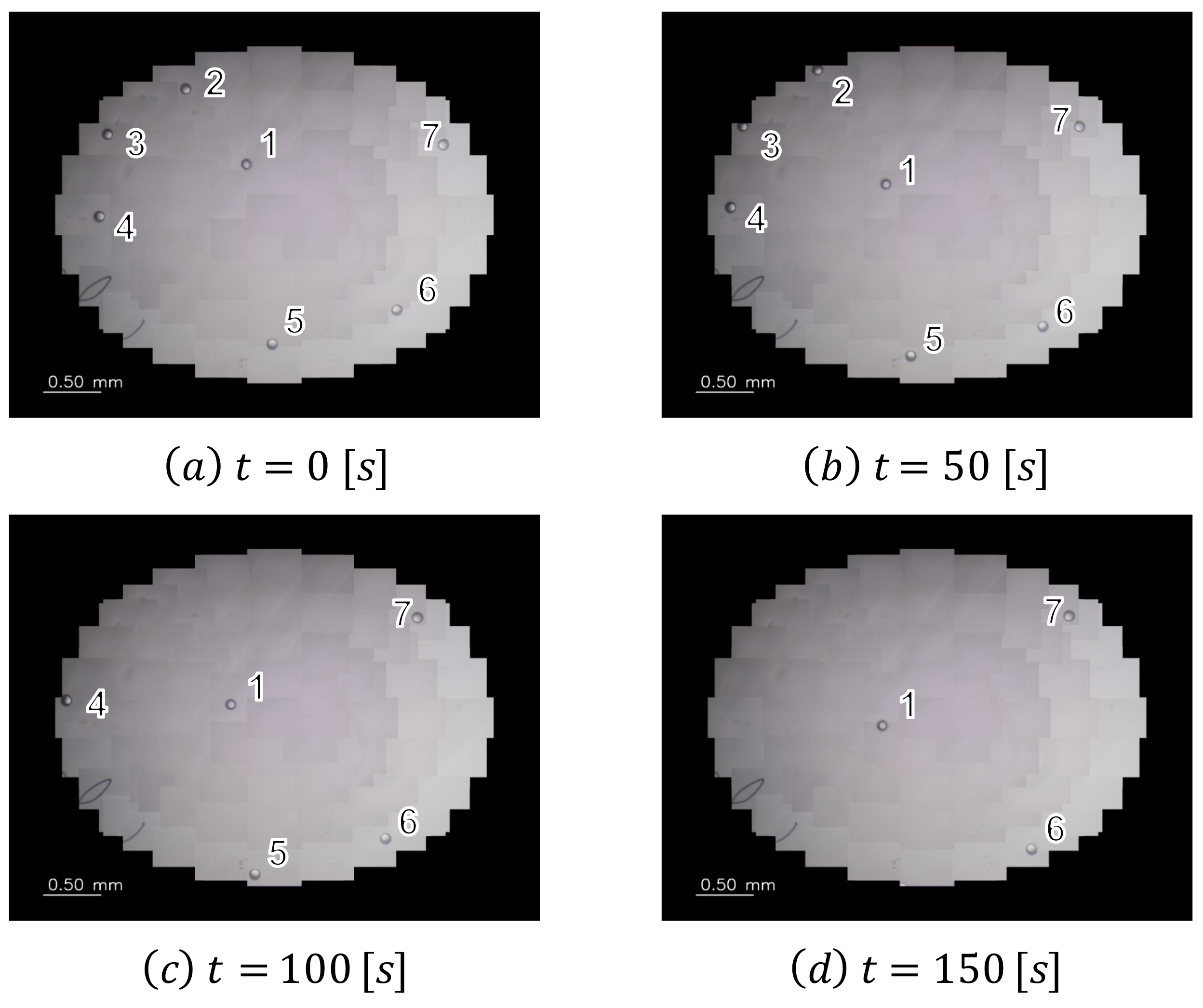 Sensors | Free Full-Text | Visual Sensing System to Investigate Self ...