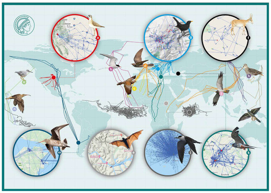 ICARUS—Very Low Power Satellite-Based IoT