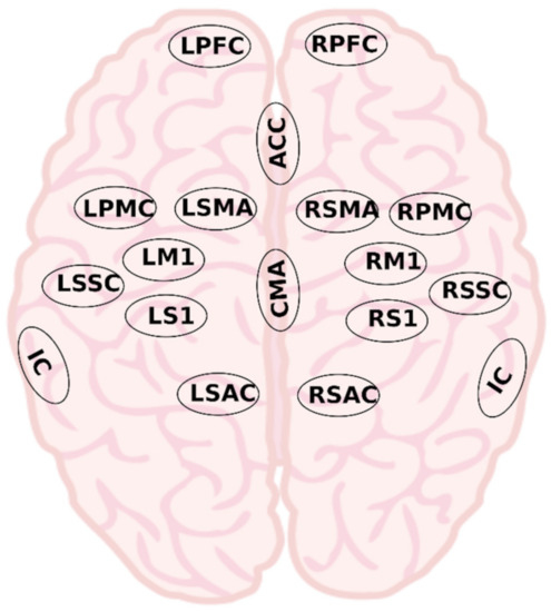 Effective Connectivity in Spinal Cord Injury-Induced Neuropathic Pain