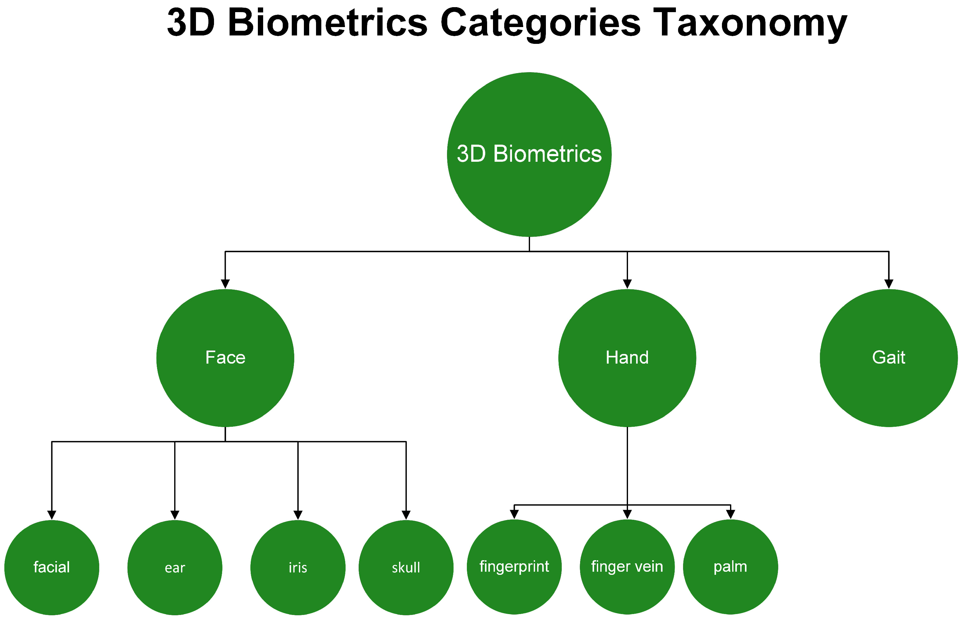 Biometrics: Going 3D