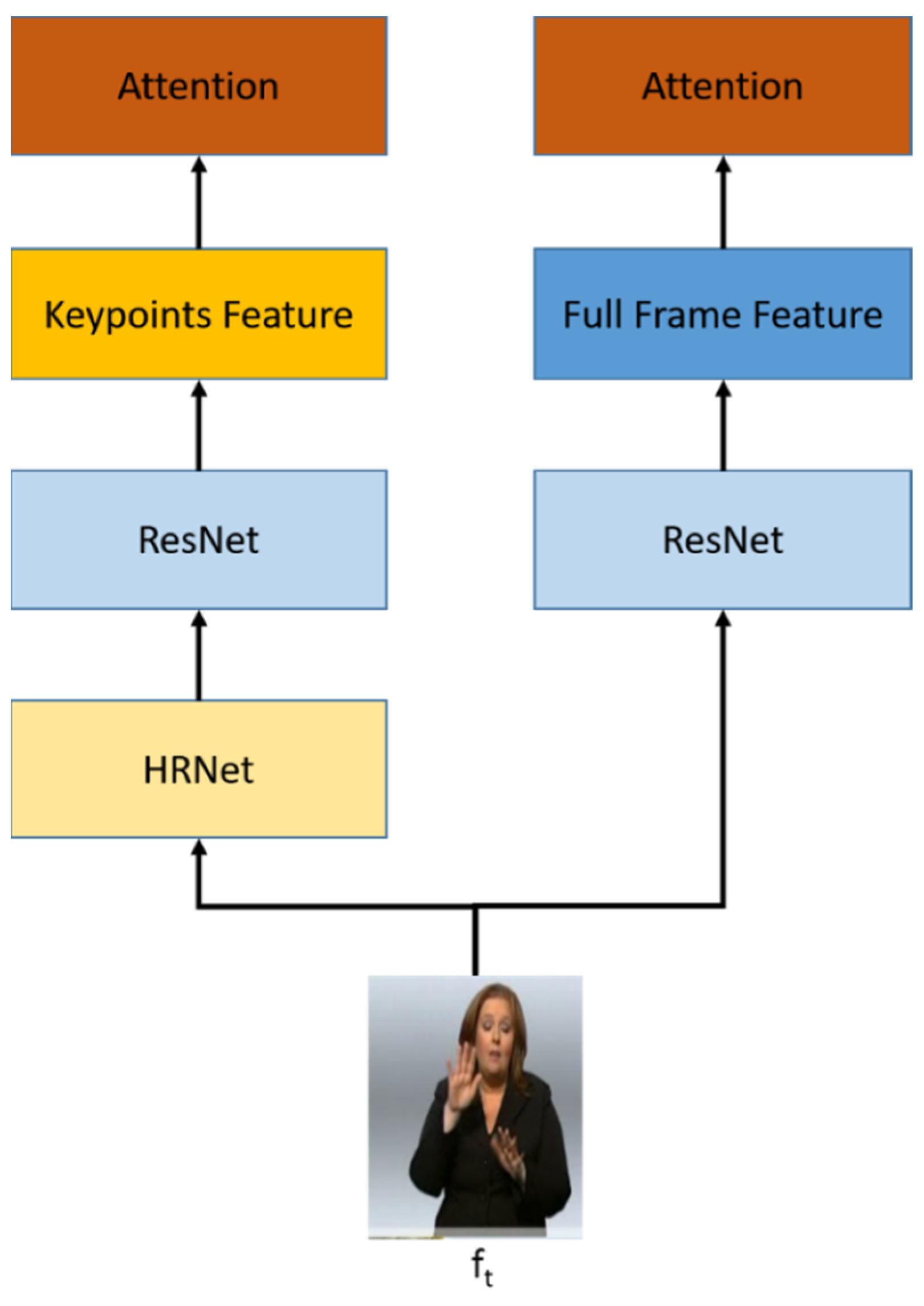 Novel Spatio-Temporal Continuous Sign Language Recognition Using an Attentive Multi-Feature Network