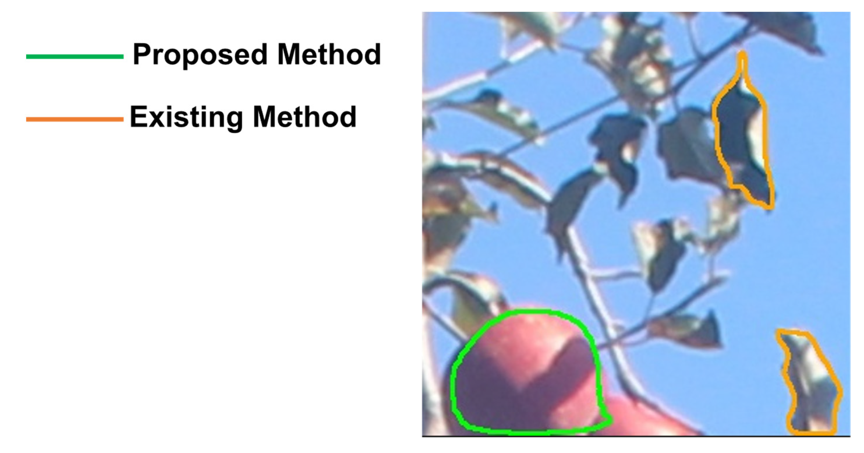 Real-Time Prediction of Growth Characteristics for Individual Fruits Using Deep Learning