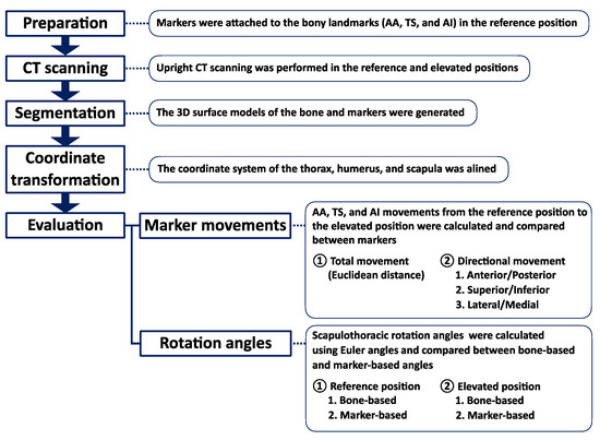 Three-Dimensional Quantitative Evaluation of the Scapular Skin Marker ...