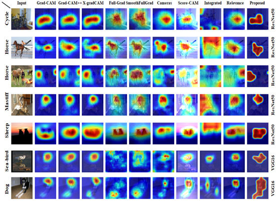 Rethinking Gradient Weight’s Influence over Saliency Map Estimation