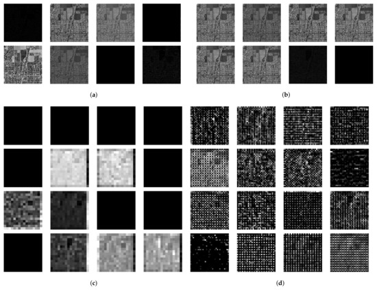 Unsupervised SAR Imagery Feature Learning with Median Filter-Based Loss Value