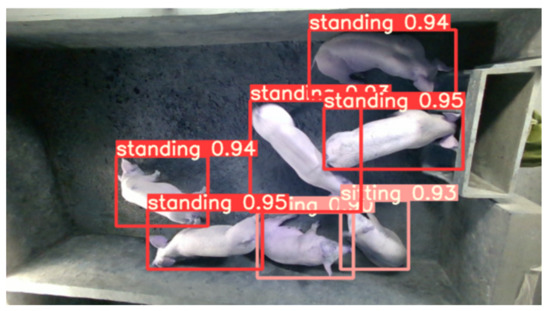 Sensors | Free Full-Text | The Research Progress of Vision-Based Artificial Intelligence in ...