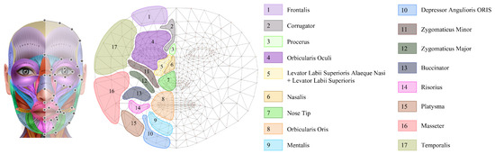 Numerical Approach to Facial Palsy Using a Novel Registration Method ...
