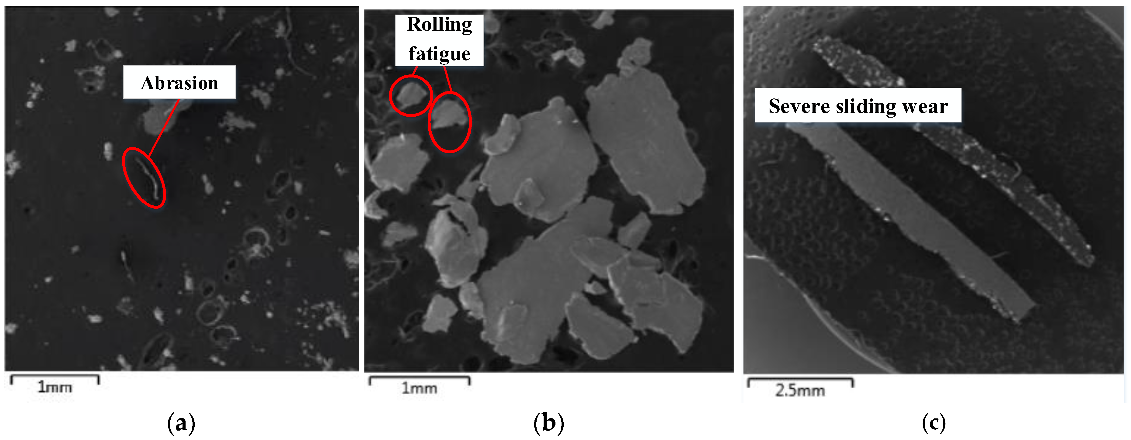 Qualitative Classification of Lubricating Oil Wear Particle Morphology ...