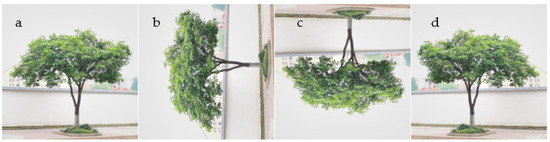 Sensors | Free Full-Text | Automatic Segmentation of Standing Trees ...