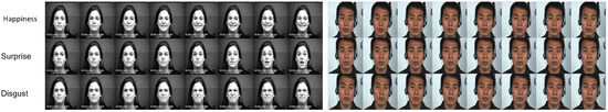 N-Step Pre-Training and Décalcomanie Data Augmentation for Micro-Expression Recognition