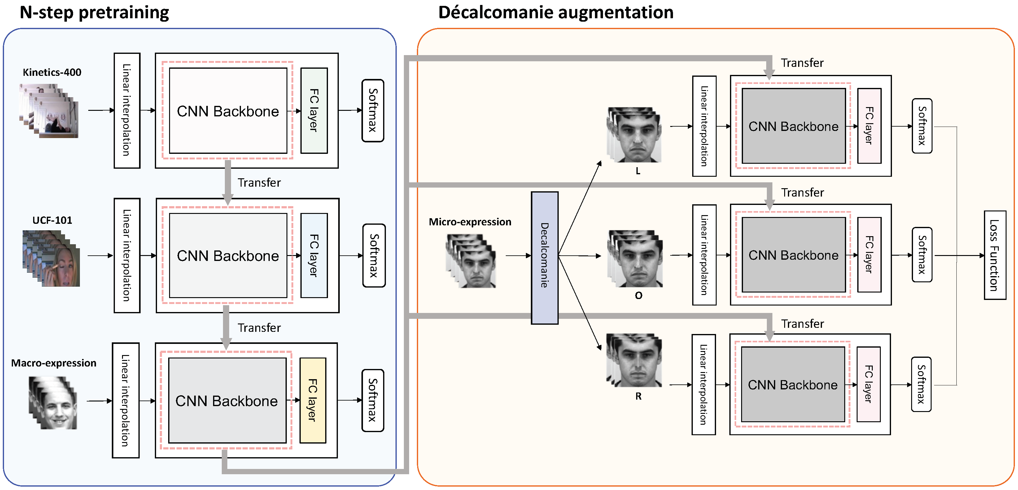 N-Step Pre-Training and Décalcomanie Data Augmentation for Micro ...