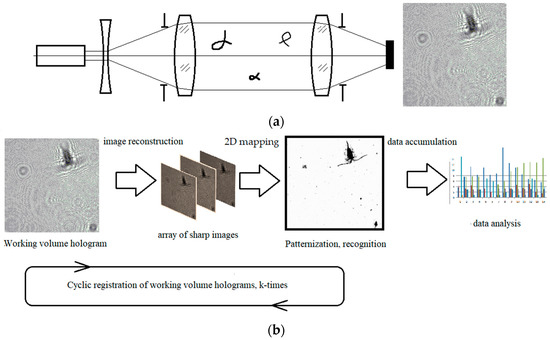 In Situ Measurements of Plankton Biorhythms Using Submersible Holographic Camera