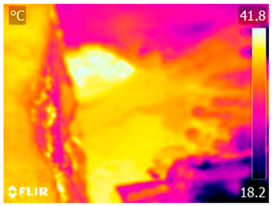 Sensors | Free Full-Text | Thermal Water Prospection with UAV, Low-Cost ...