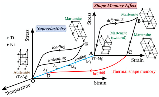 Sensors | Free Full-Text | Shape Memory Alloy-Based Wearables: A Review, and Conceptual ...