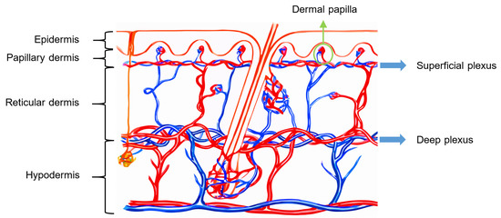 Overview of Biofluids and Flow Sensing Techniques Applied in Clinical ...