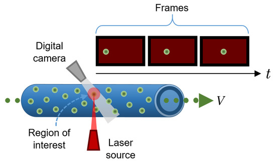 Overview of Biofluids and Flow Sensing Techniques Applied in Clinical ...