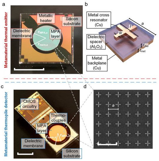 Metasurfaces for Sensing Applications: Gas, Bio and Chemical