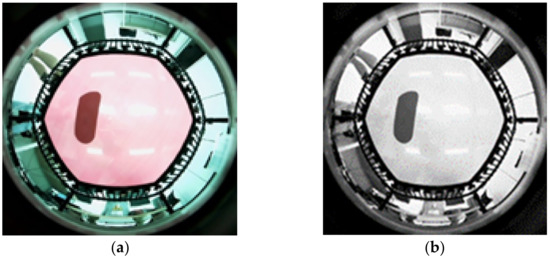 Three-Dimensional Foot Position Estimation Based on Footprint Shadow ...